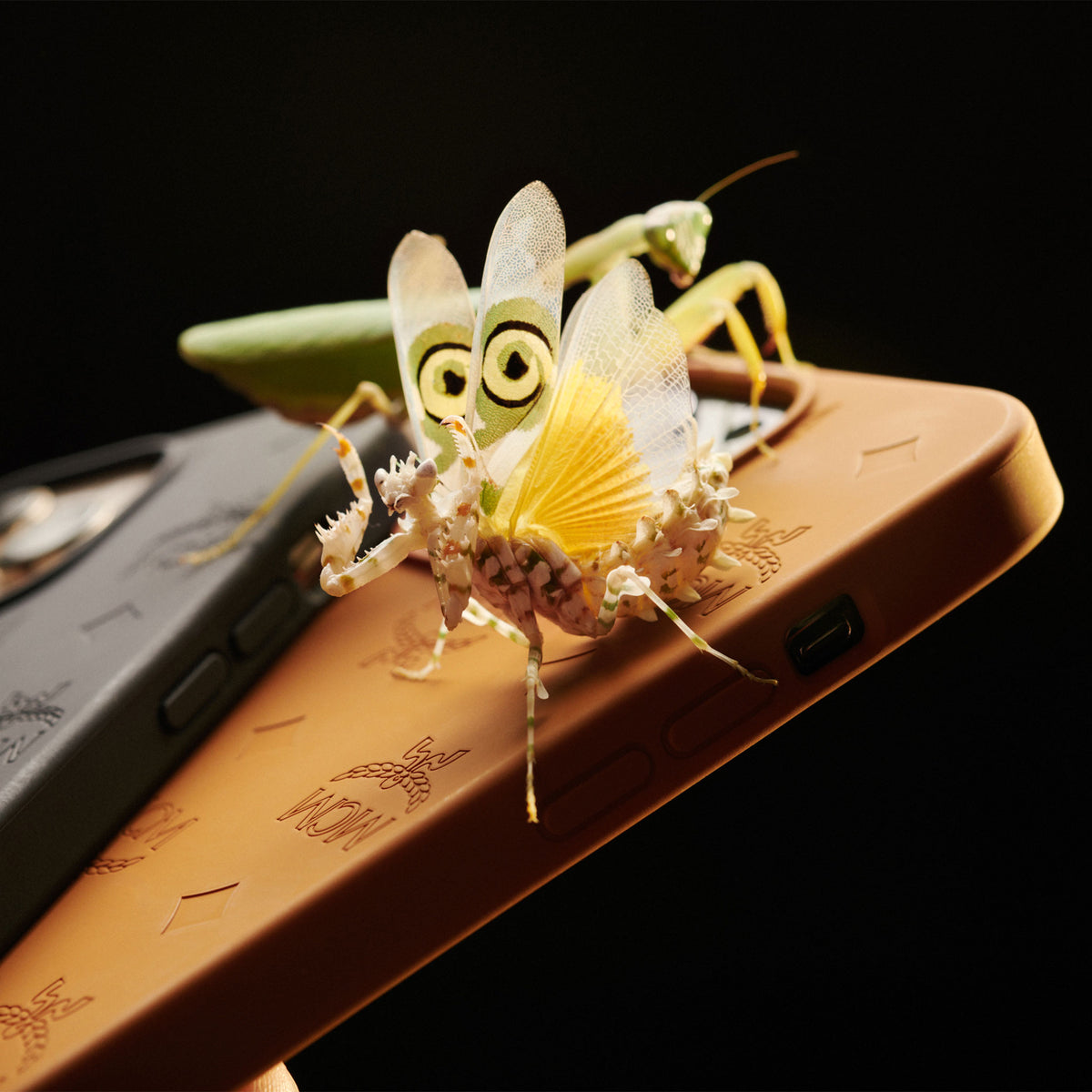 Explore our MCM iPhone 13 Cases in Black and Cognac with Gold details ...